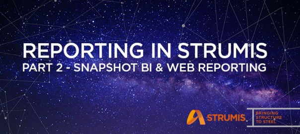 Reporting In STRUMIS Part 2 – Snapshot BI & Web Reporting | STRUMIS