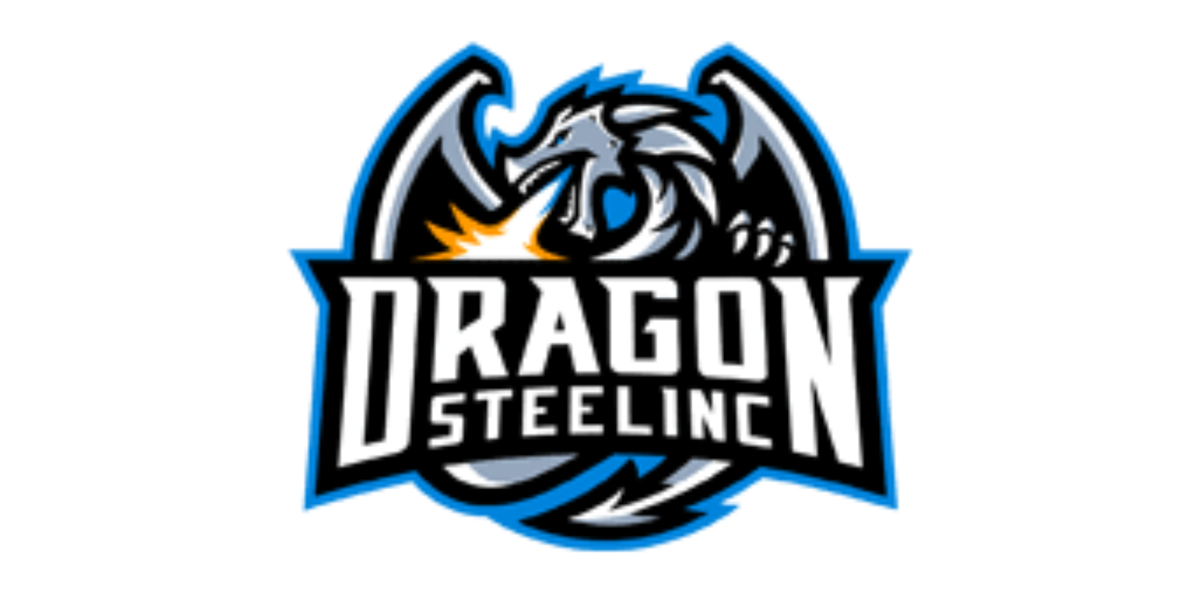 Dragon Steel gains full visibility, flexibility, and control with STRUMIS